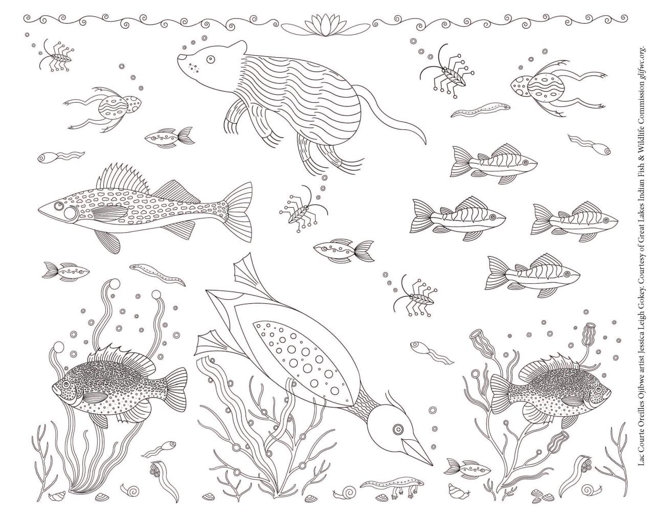 great lakes coloring pages