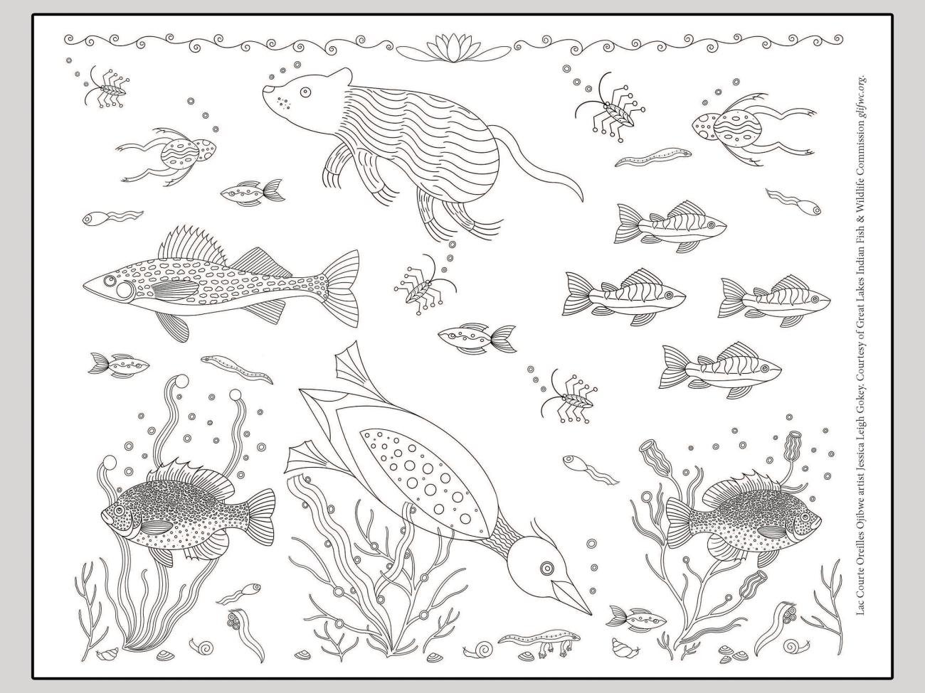 indian pattern coloring page