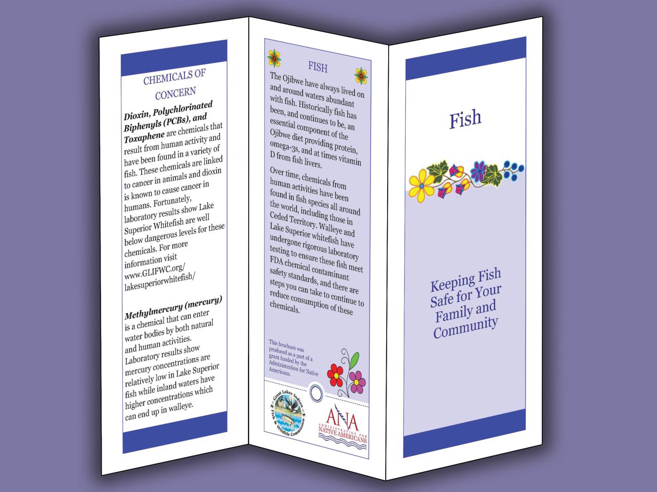 Fish Brochure: Keeping Fish Safe for Your Family and Community | Great ...