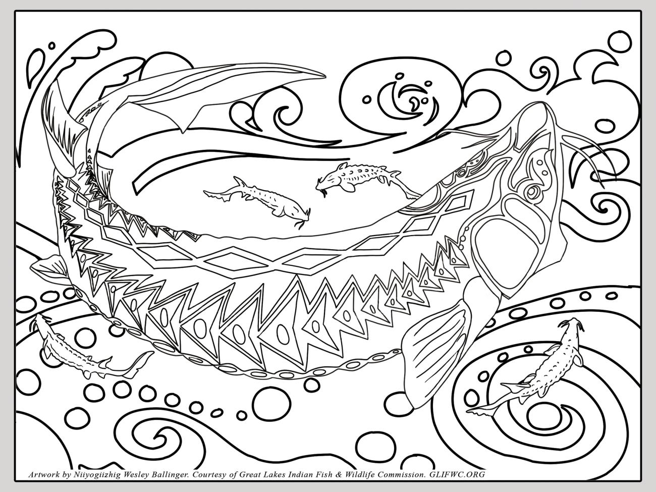 Name coloring page | Great Lakes Indian Fish & Wildlife Commission